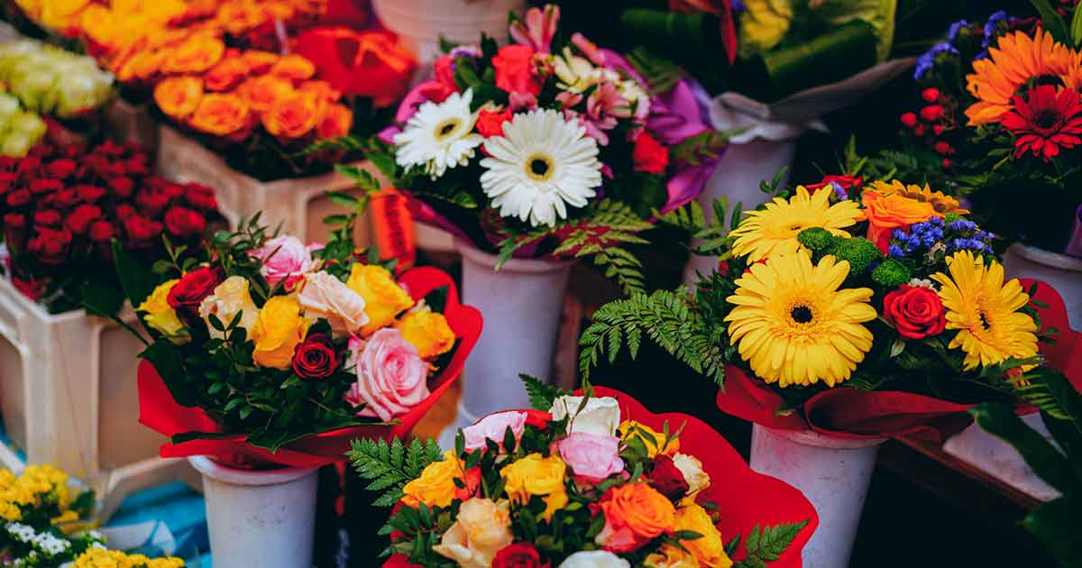 Rustichello Pisa Ristorante Fiore Lorenzo Gagliano (@lorenzogagliano)